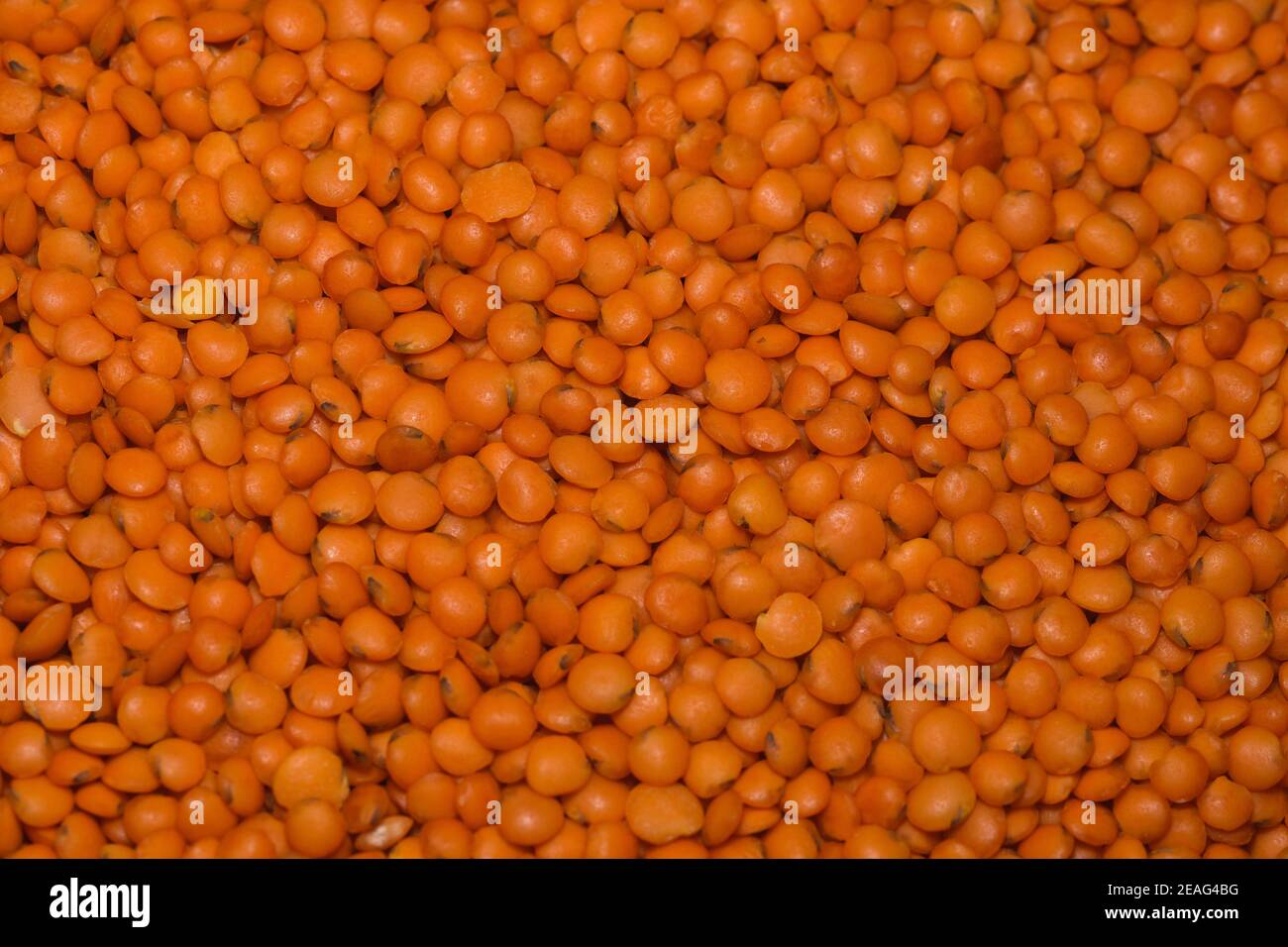Red lentils pattern hi-res stock photography and images - Alamy