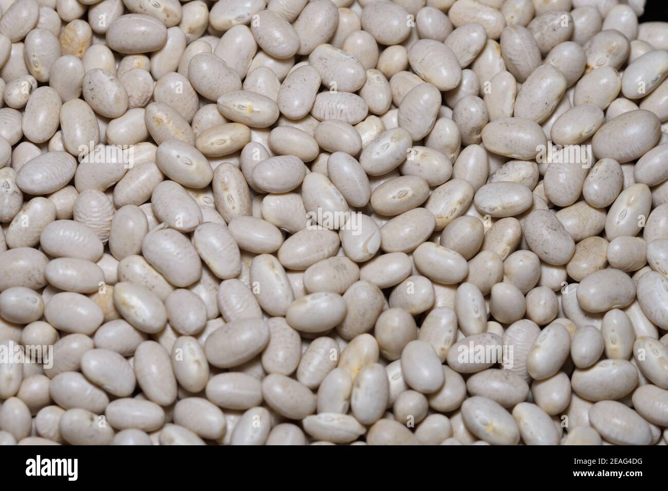 Authentic organic white beans Stock Photo - Alamy