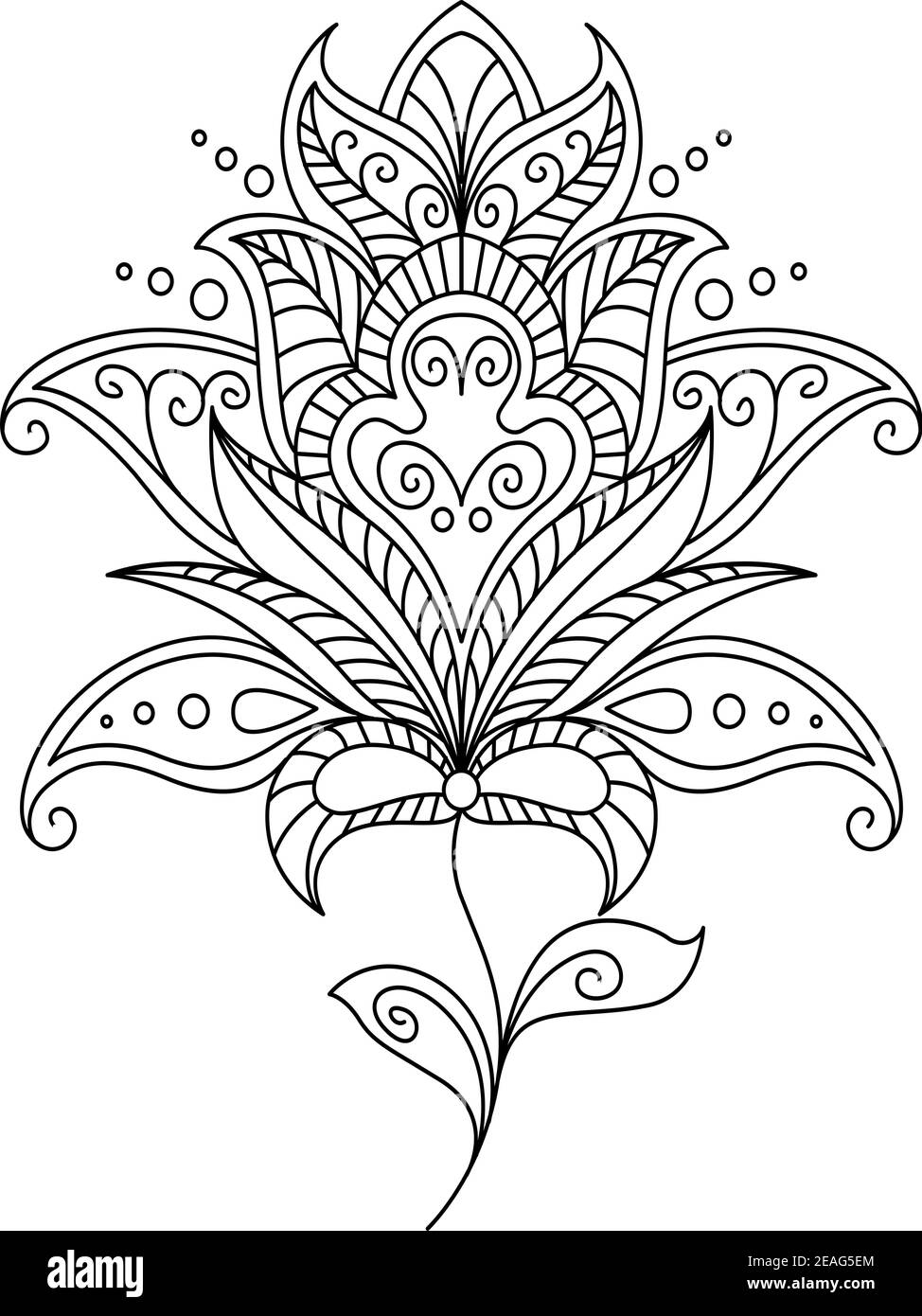 Floral Motifs Designs