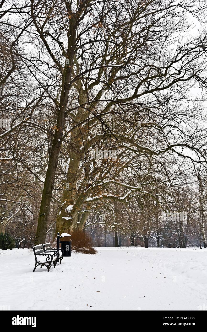 Beautiful landscape can snowy hi-res stock photography and images - Alamy