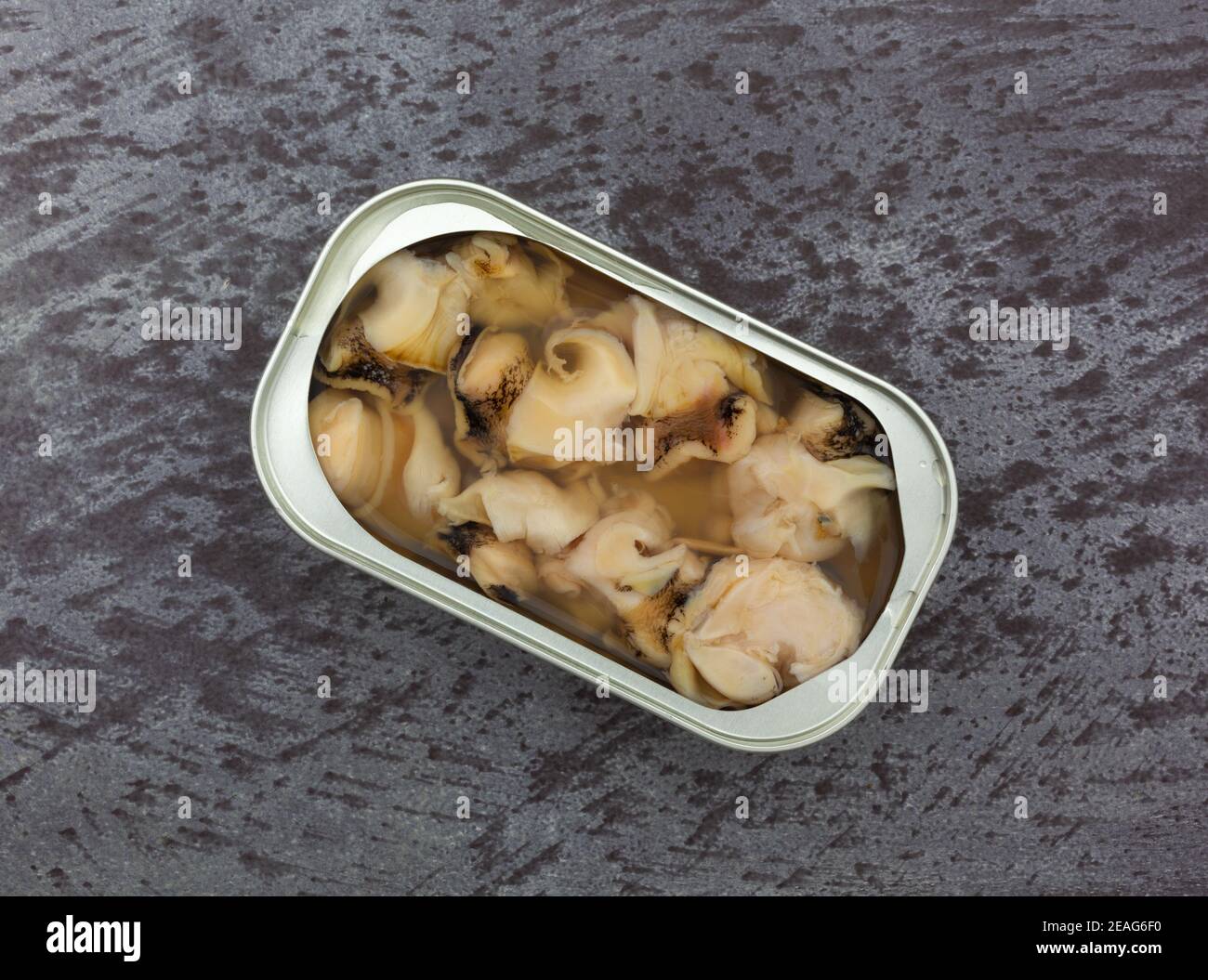 Top view of cooked conch snails in an open tin on a gray mottled ...