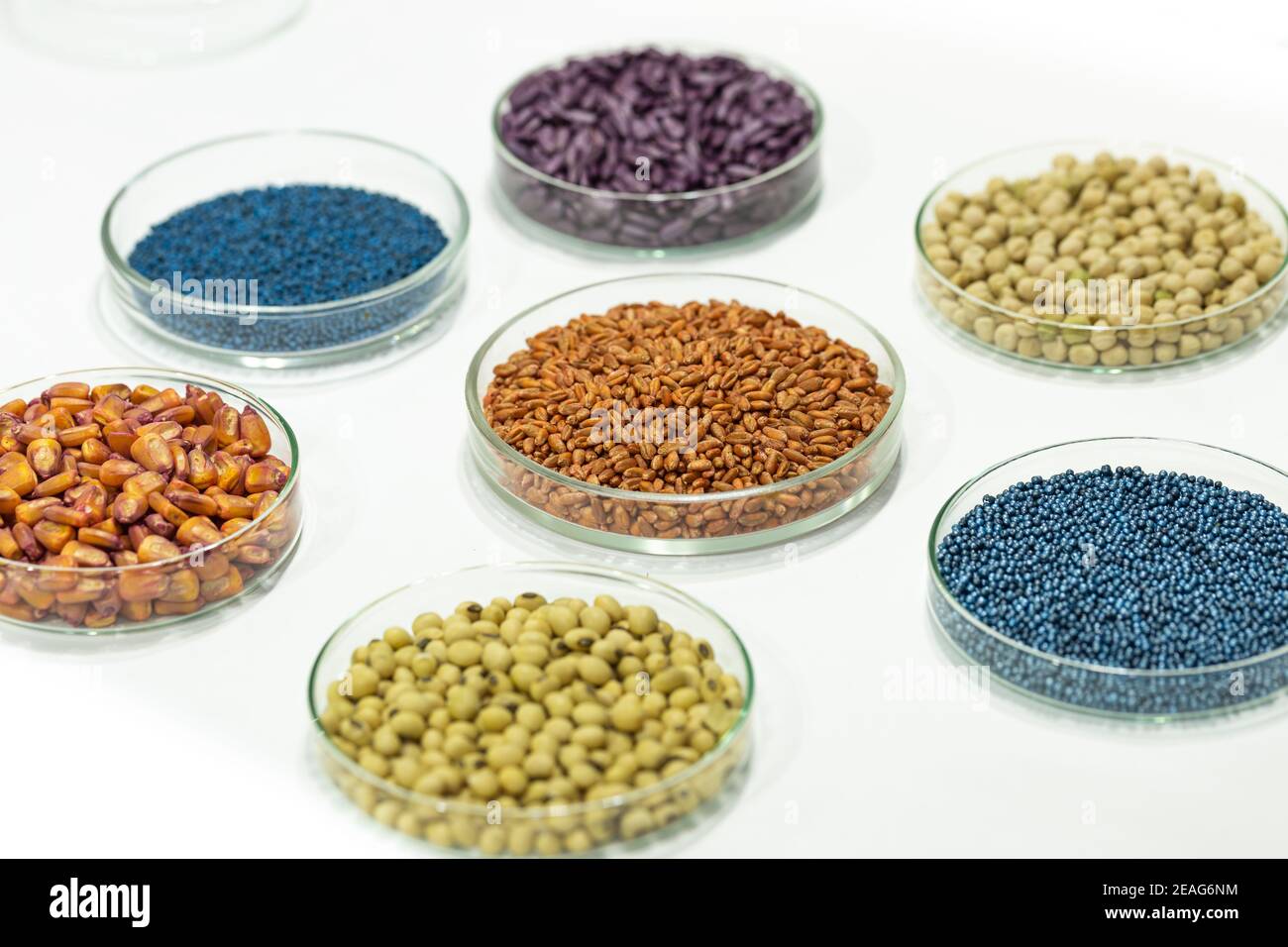 Colorful pesticide-treated rapeseed, sunflower, wheat, pea, soy, and ...