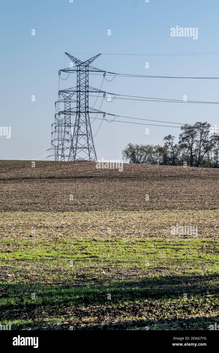 Vertical view of old electric posts in the summer landscape Stock Photo ...