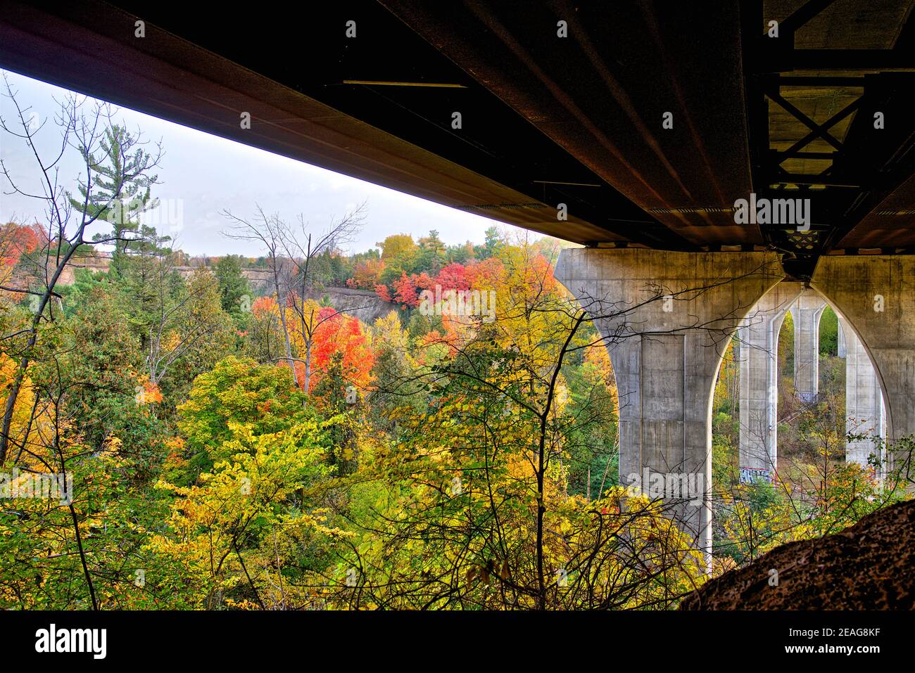 View of under the highway bridge over the valley with autumn leaf ...