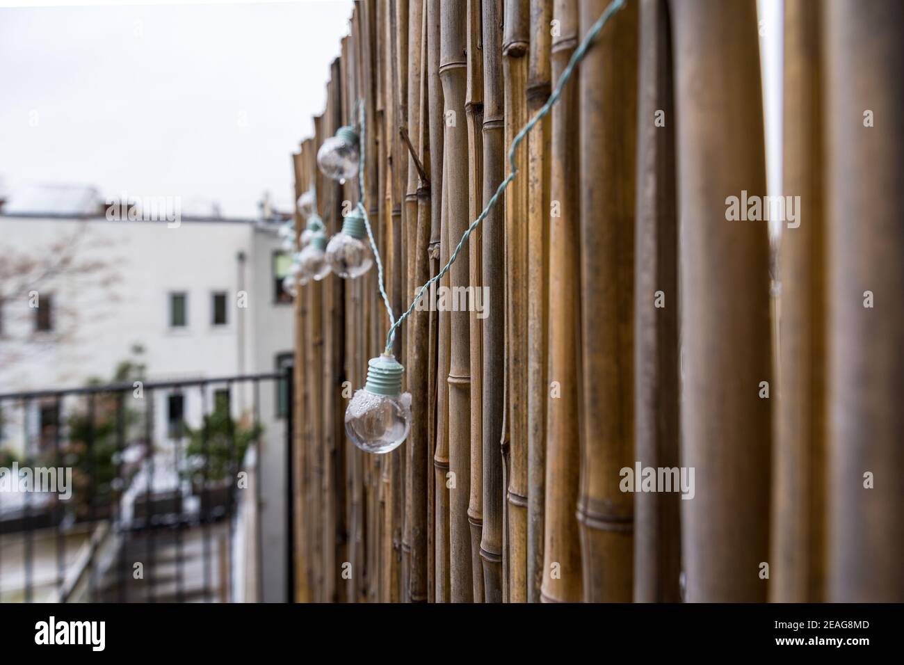 LED mint color light bulbs with wires hanging on a bamboo screen wall ...