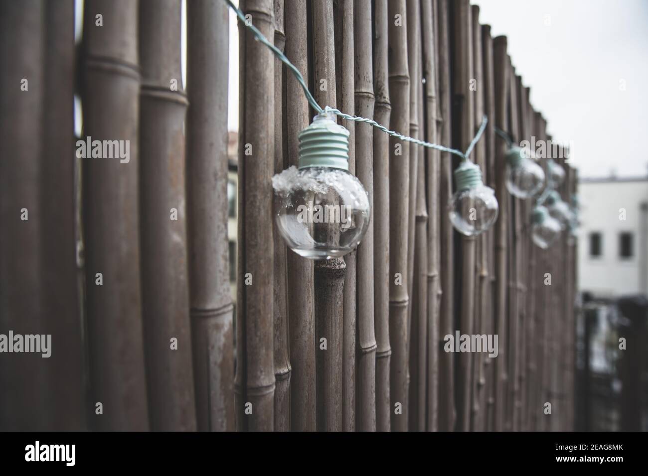 LED mint color light bulbs with wires hanging on a bamboo screen wall ...
