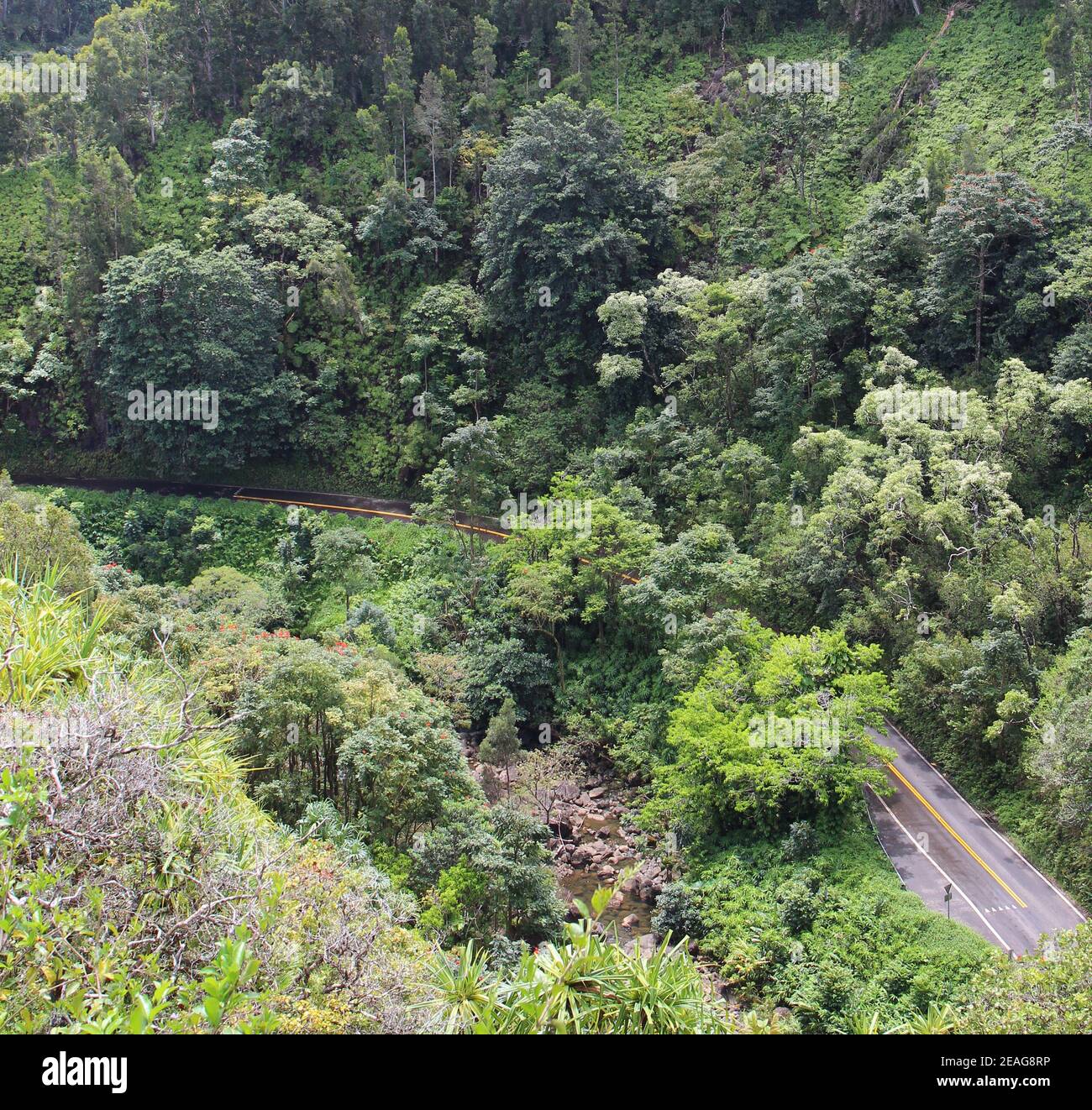 An aerial view of Hana Highway running through the middle of a ...