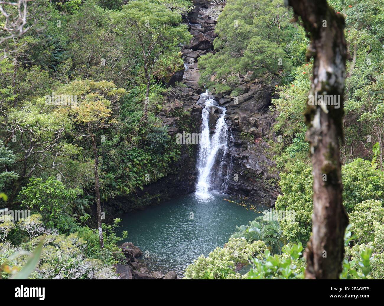 Peering through trees looking down to a waterfall and small lake in the ...