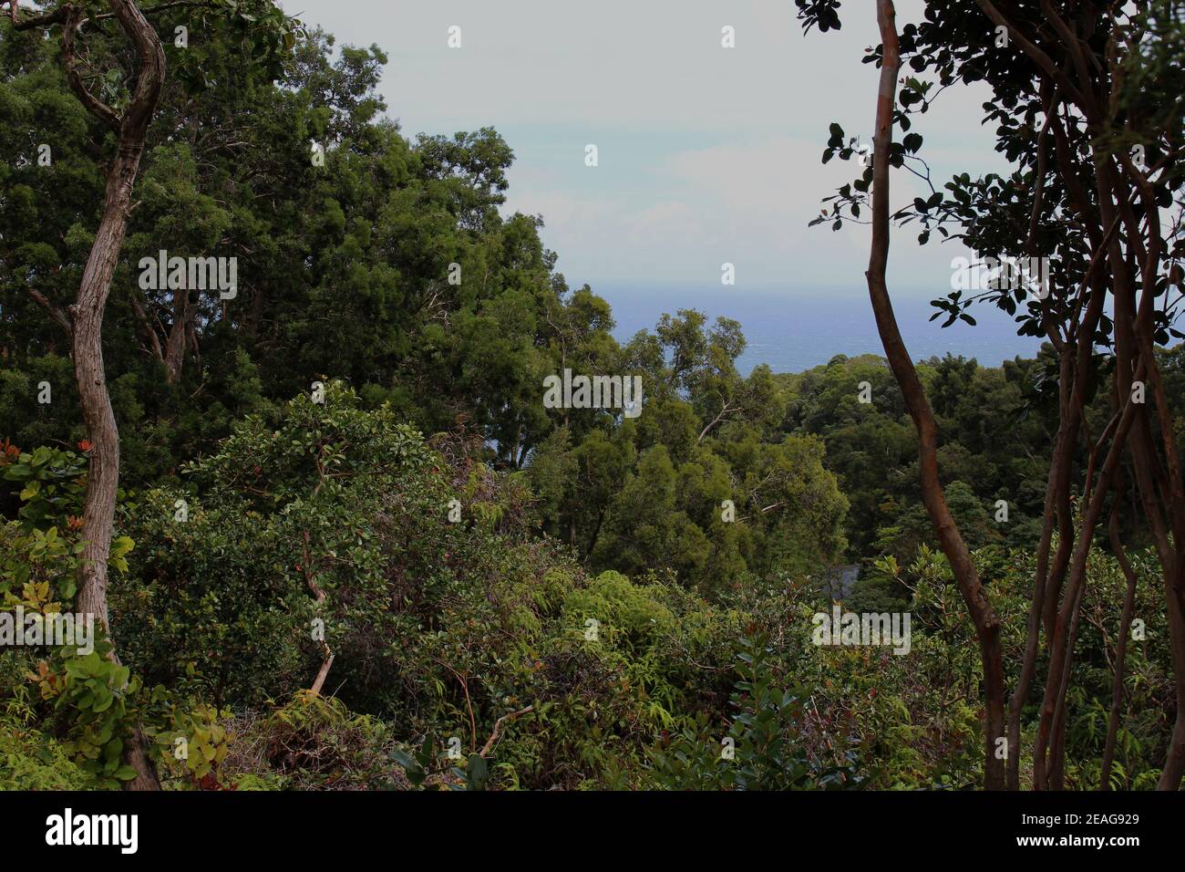 Peering in bucket hi-res stock photography and images - Alamy