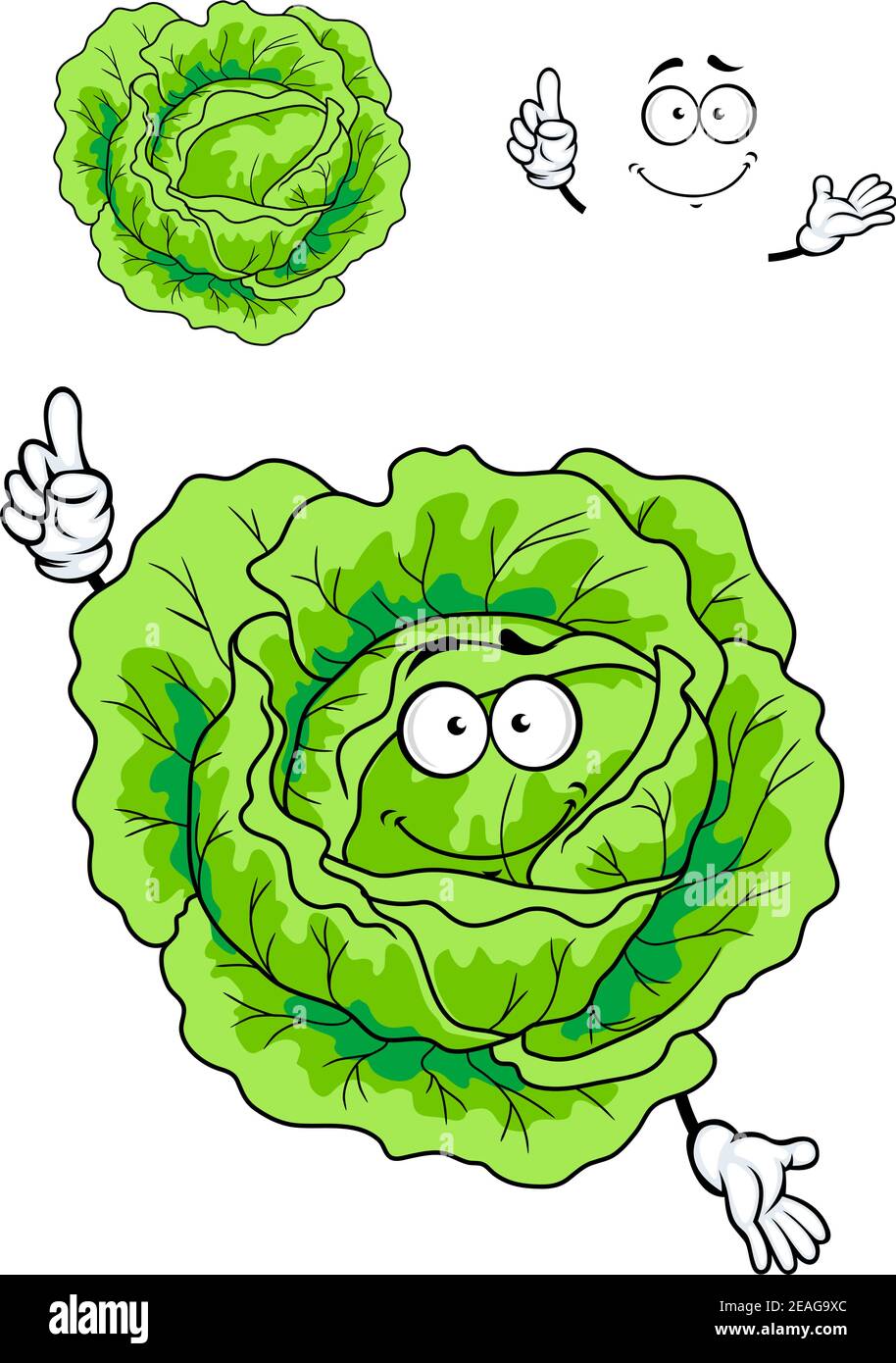 Cartoon illustration on white of smiling fresh green cabbage with a ...