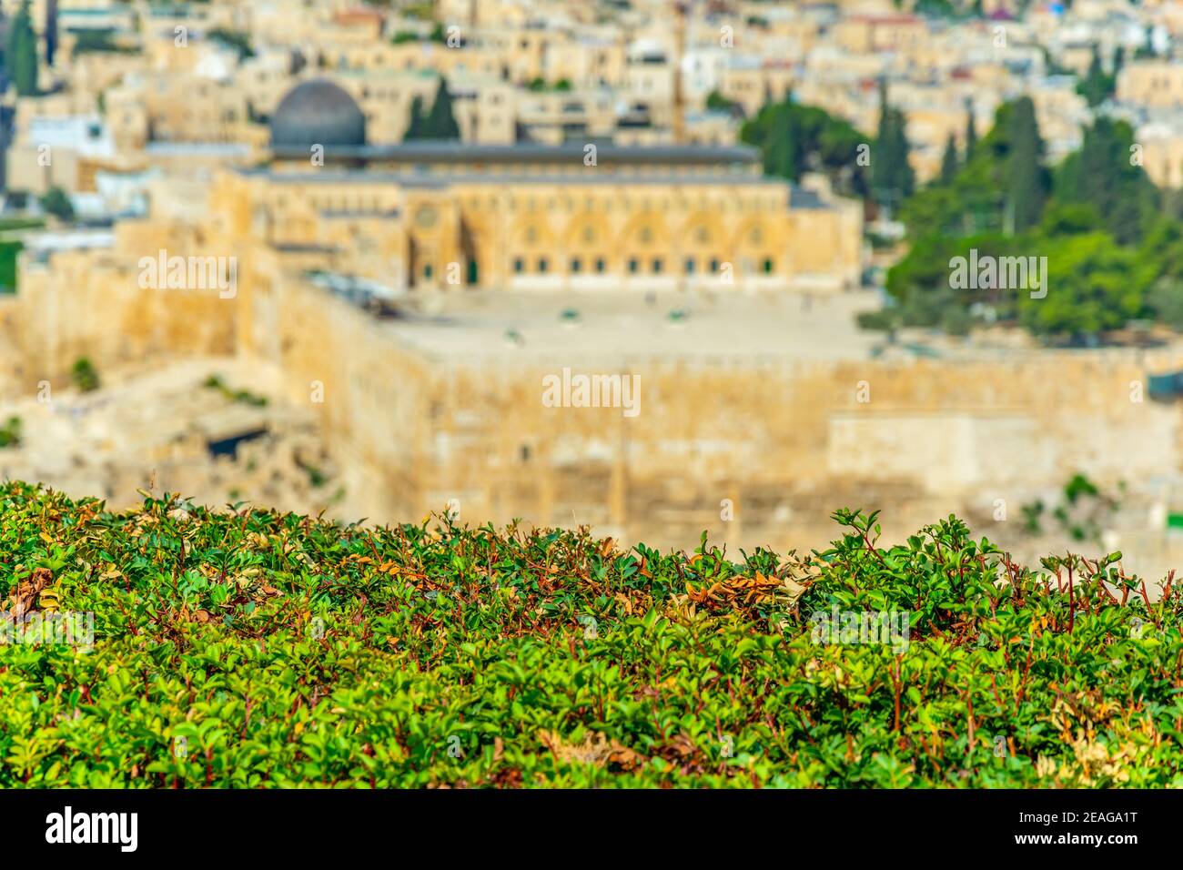 Aerial view of Al aqsa mosque in Jerusalem, Israel Stock Photo - Alamy