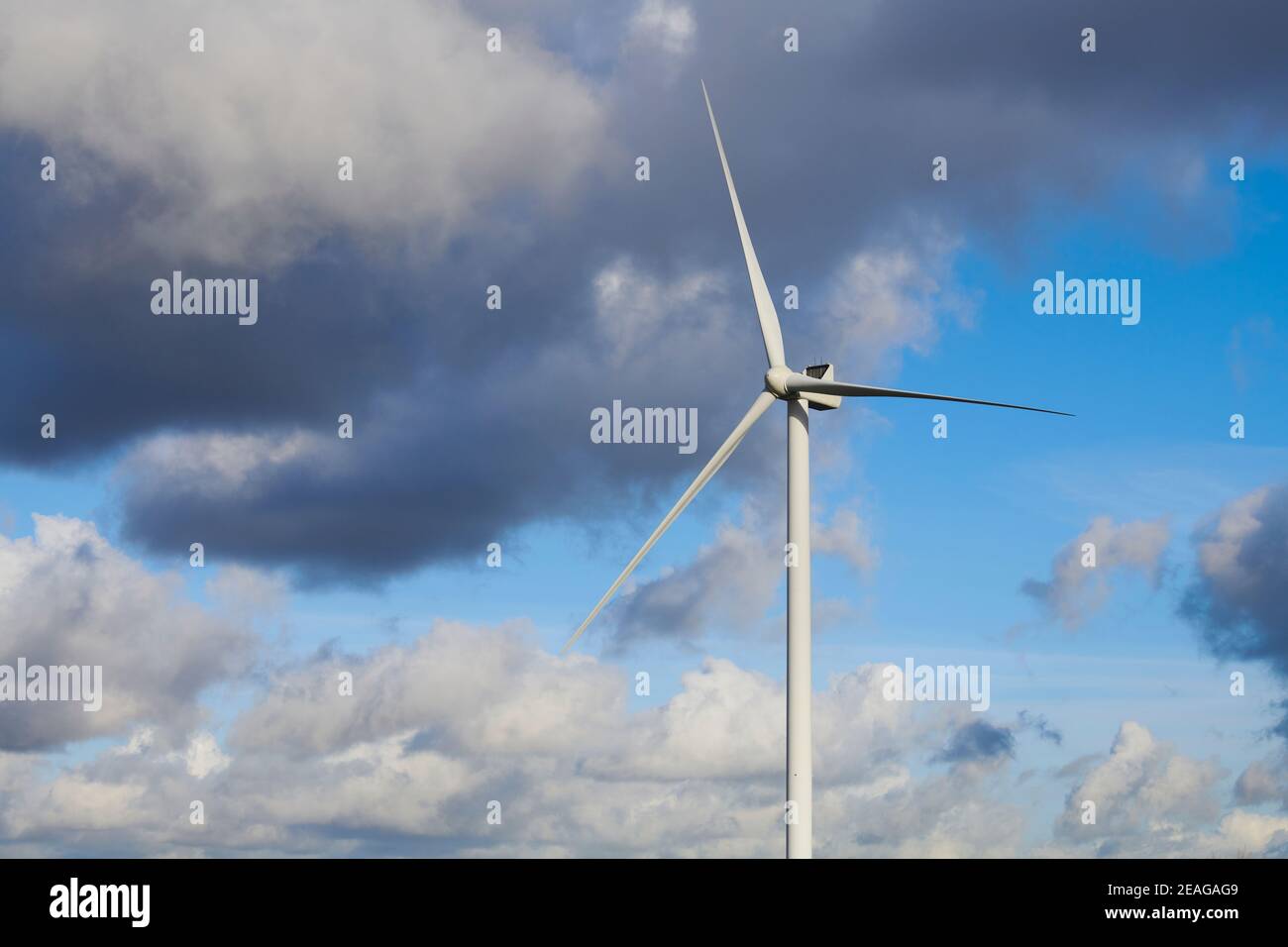 Generating natural hi-res stock photography and images - Alamy