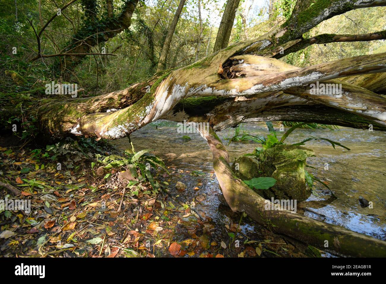 Birth of a river hi-res stock photography and images - Alamy