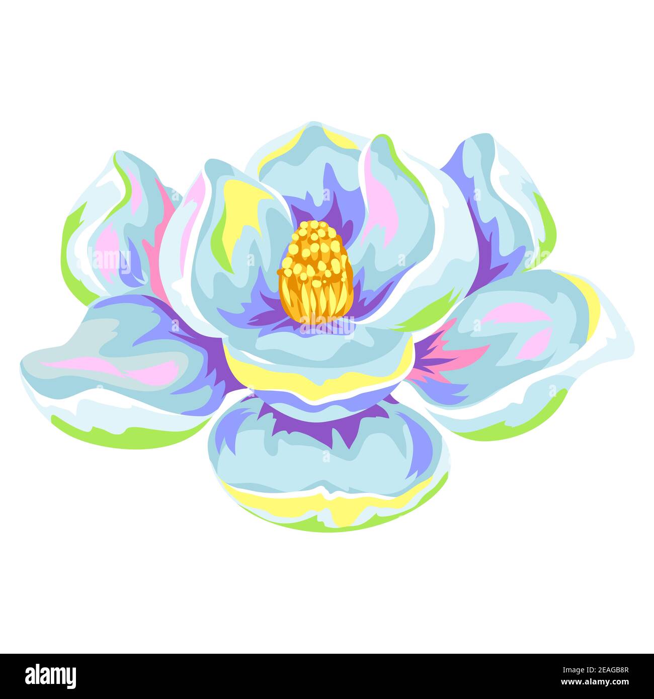 Magnolia tree blooming flower Stock Vector Images - Alamy