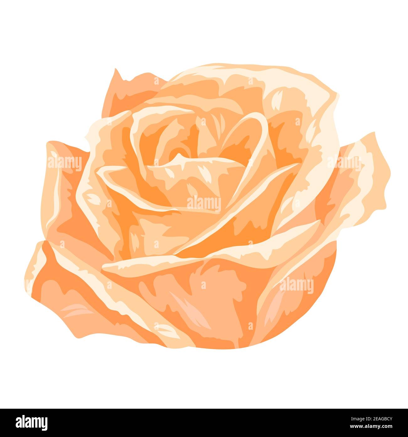 Rose flower head Stock Vector Images - Alamy