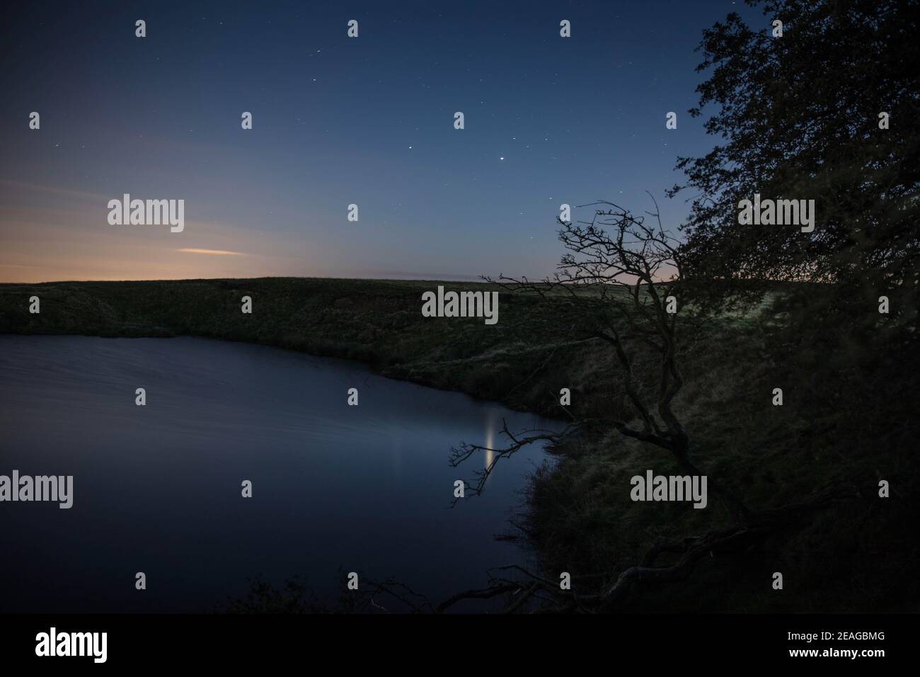 Night pond hi-res stock photography and images - Alamy