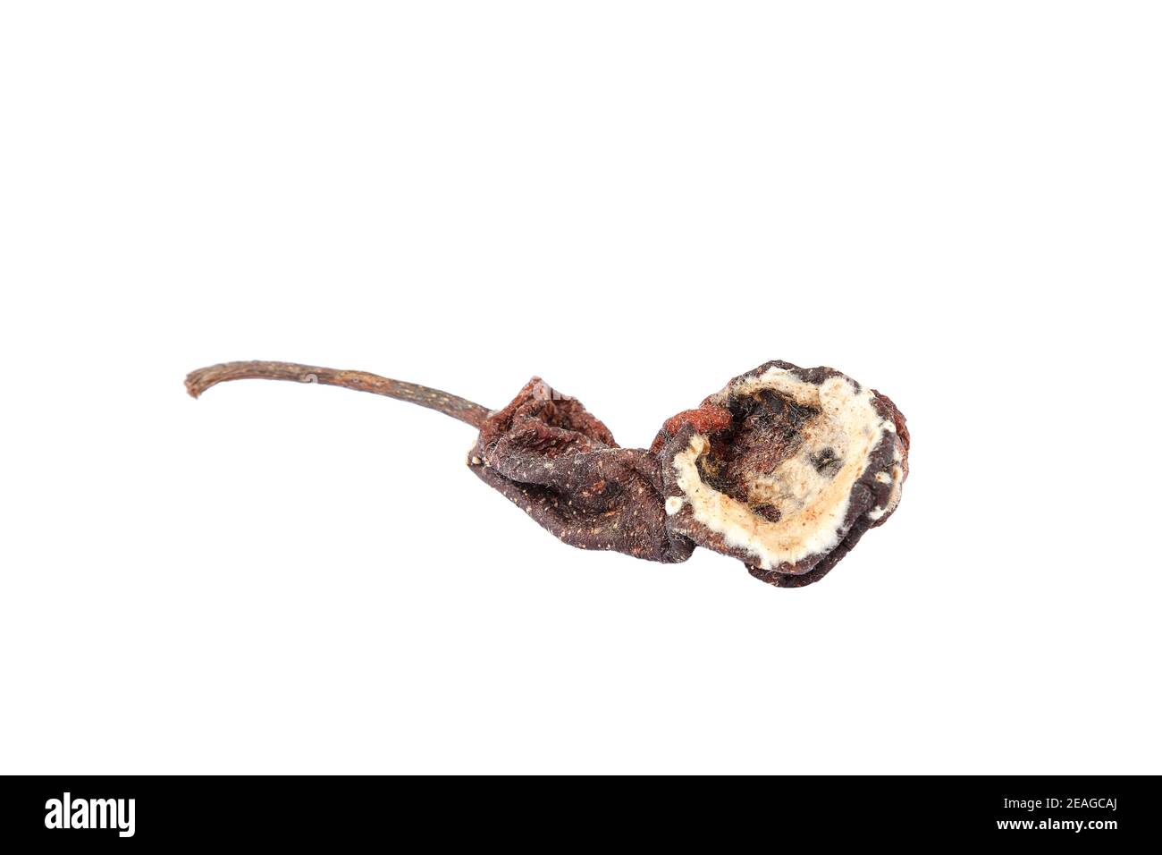 Rotten pear hi-res stock photography and images - Alamy