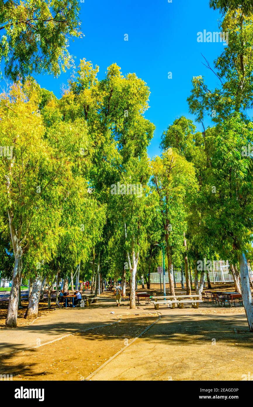 Park at Haifa, Israel Stock Photo - Alamy