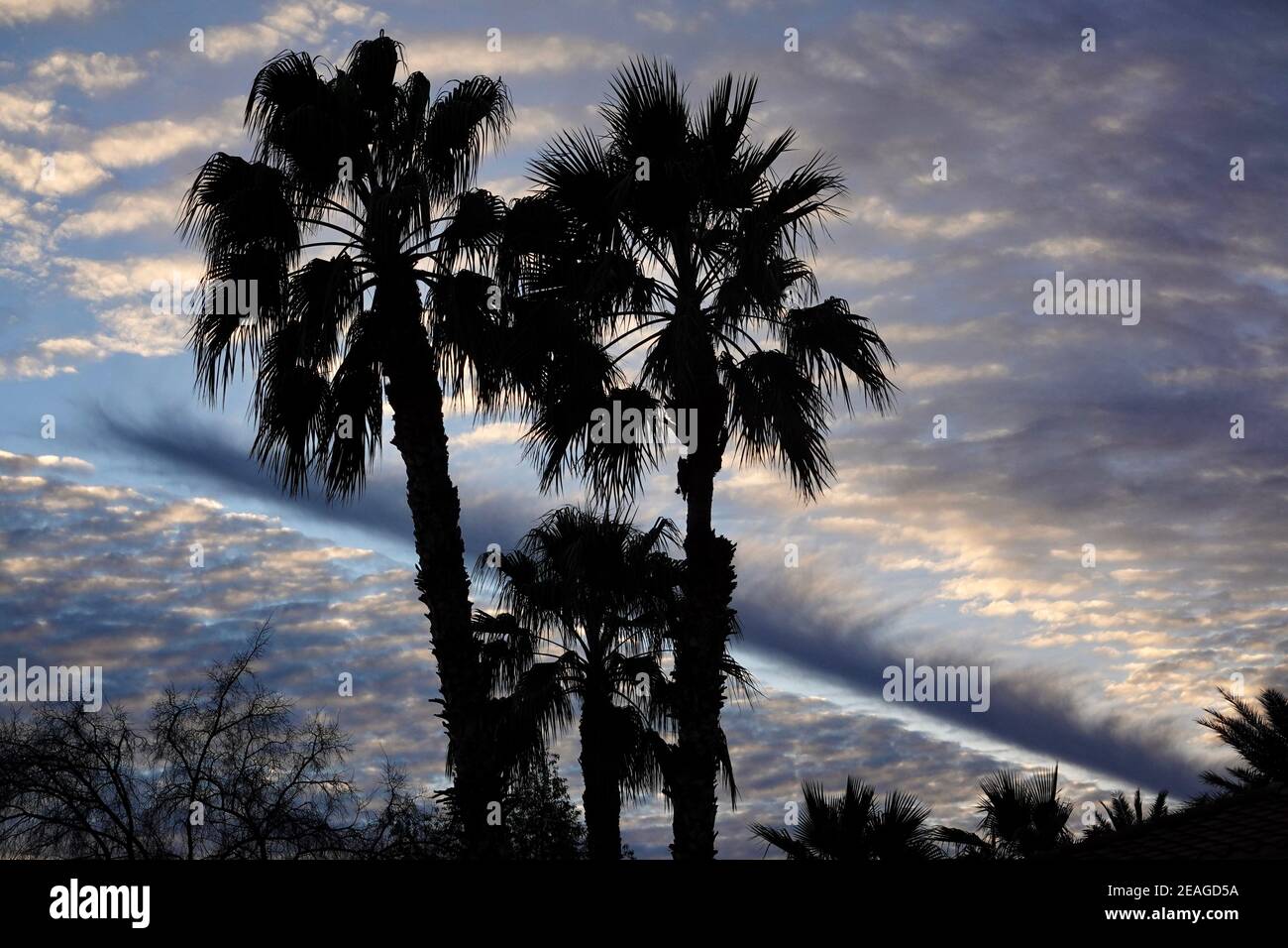 Distinctive silhouette hi-res stock photography and images - Alamy