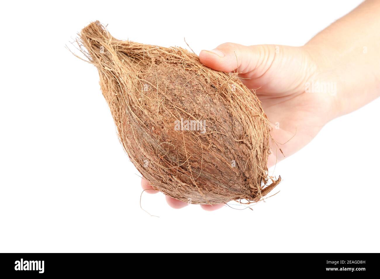 Coconut in hand isolated on white background Stock Photo - Alamy