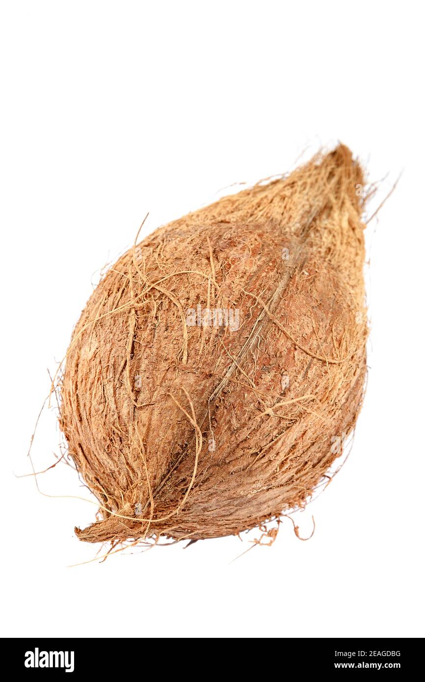 Coconut close-up isolated on white background Stock Photo - Alamy