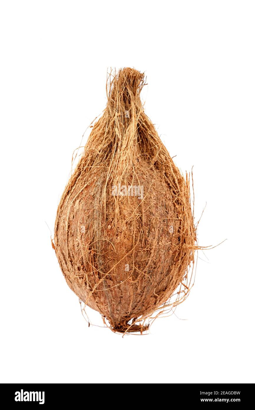 Coconut close-up isolated on white background Stock Photo - Alamy