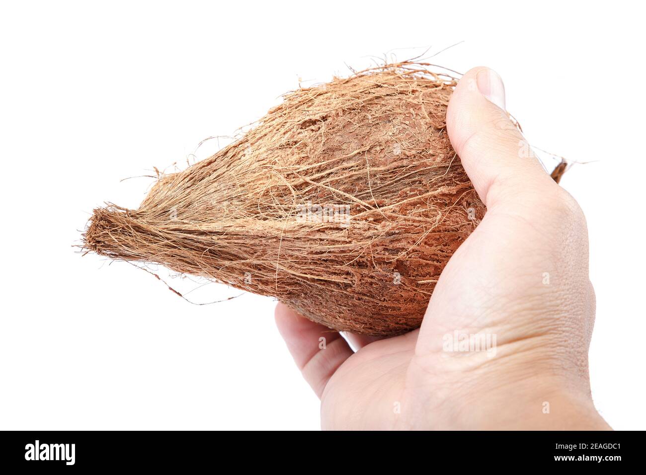 Coconut in hand isolated on white background Stock Photo - Alamy