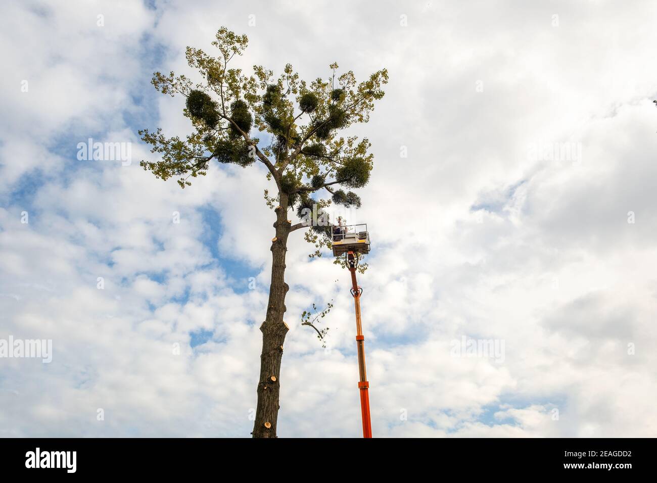 Two man bucket work platform hi-res stock photography and images - Alamy