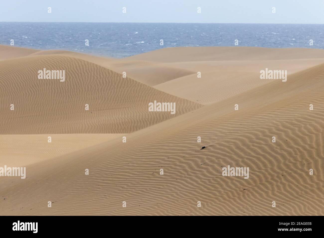 Desert dunes and sand changing shape and color due to wind blowing ...