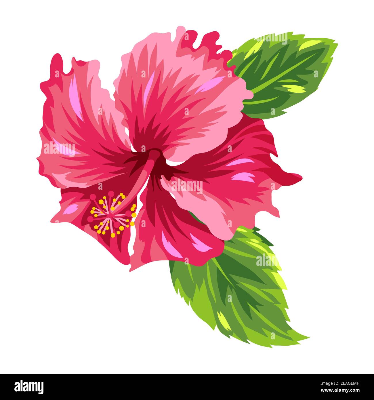 Vector Hibiscus Flower Free Hibiscus Vector Art