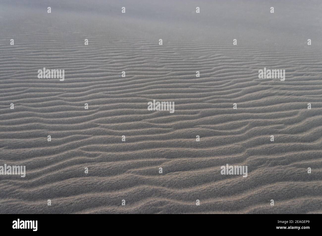 Gray desert sand pattern Stock Photo - Alamy