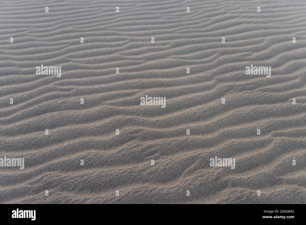 Gray desert sand pattern Stock Photo - Alamy