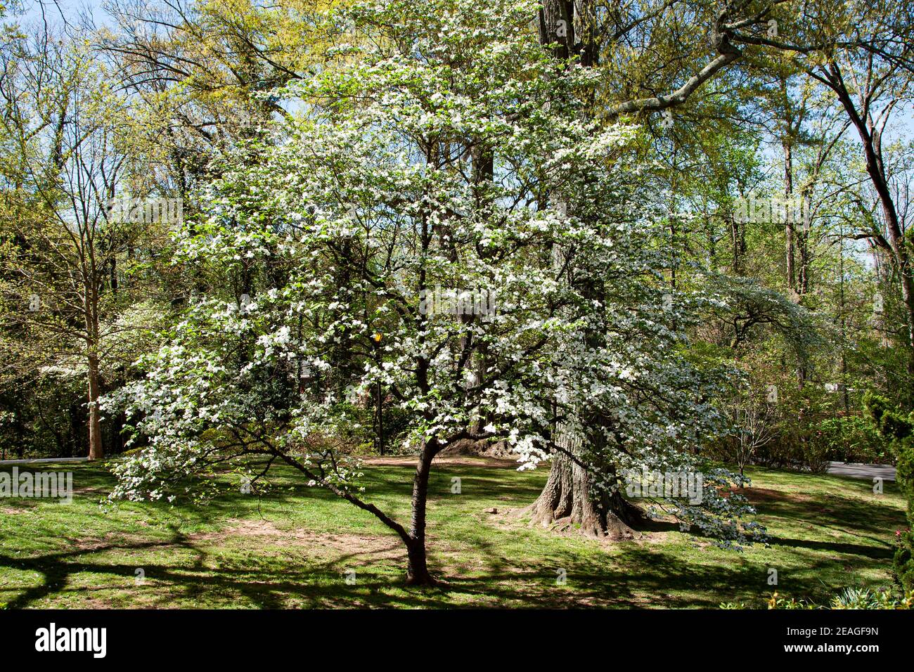 Callanwolde Fine Arts Center, Gardens, Atlanta, Georgia. Designed by ...