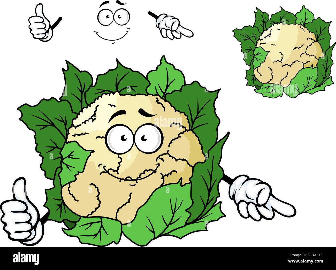 Cute happy cartoon cauliflower with bright green leaves and a smiling ...