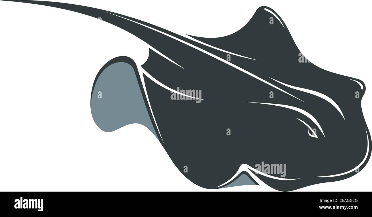 Swimming manta ray with a long tail and wing-like pectoral fins ...