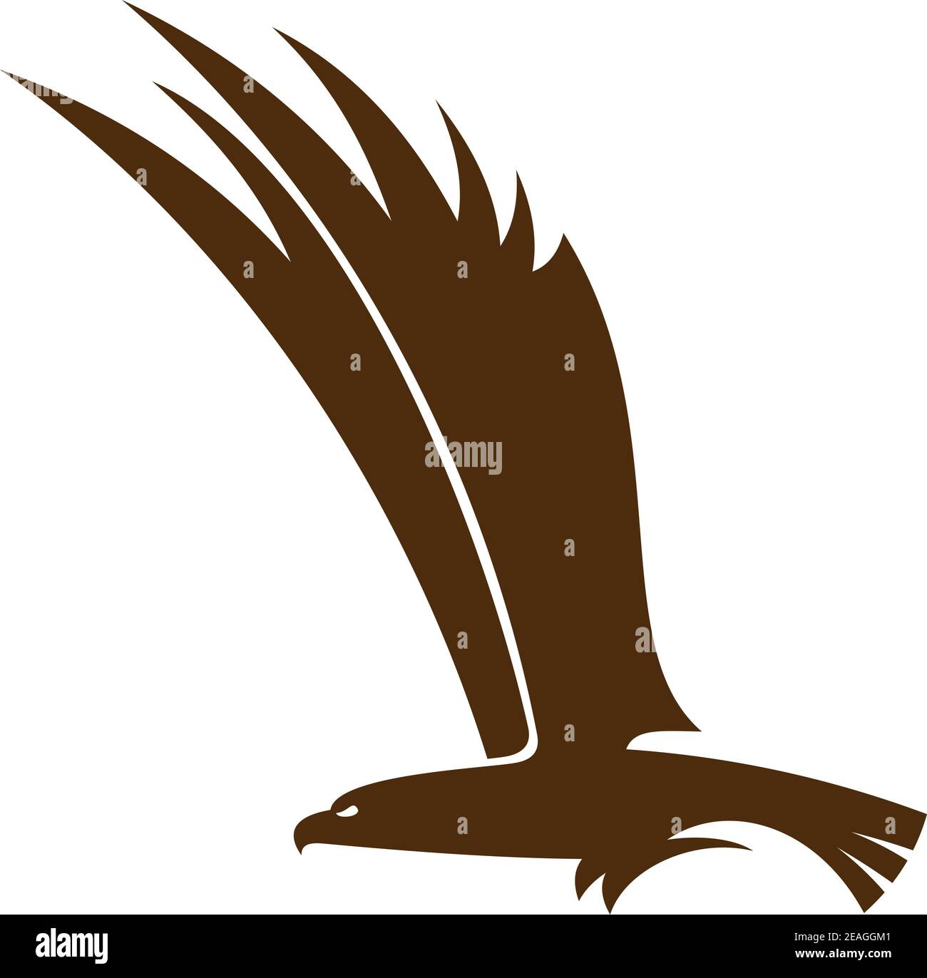 Peregrine falcon Stock Vector Images - Alamy