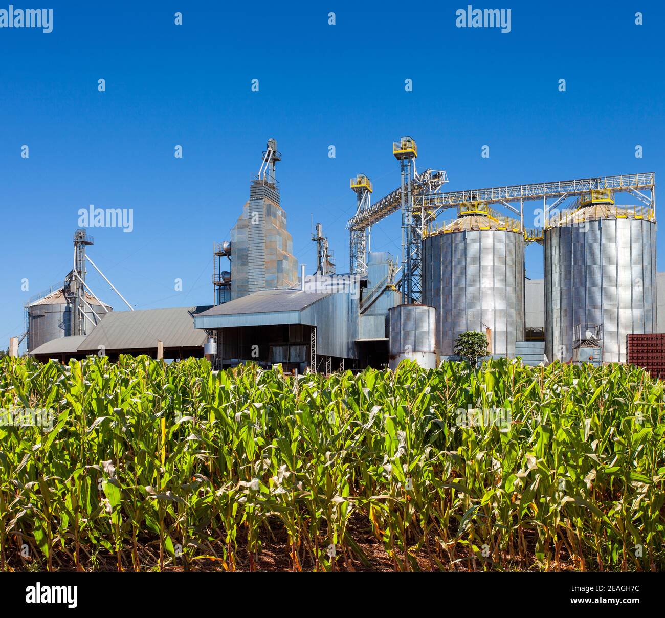 The complex silo installations for the storage of grain Stock Photo - Alamy