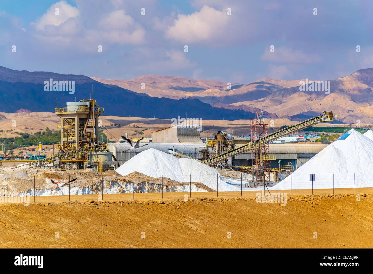 Salt factory in israel hi-res stock photography and images - Alamy