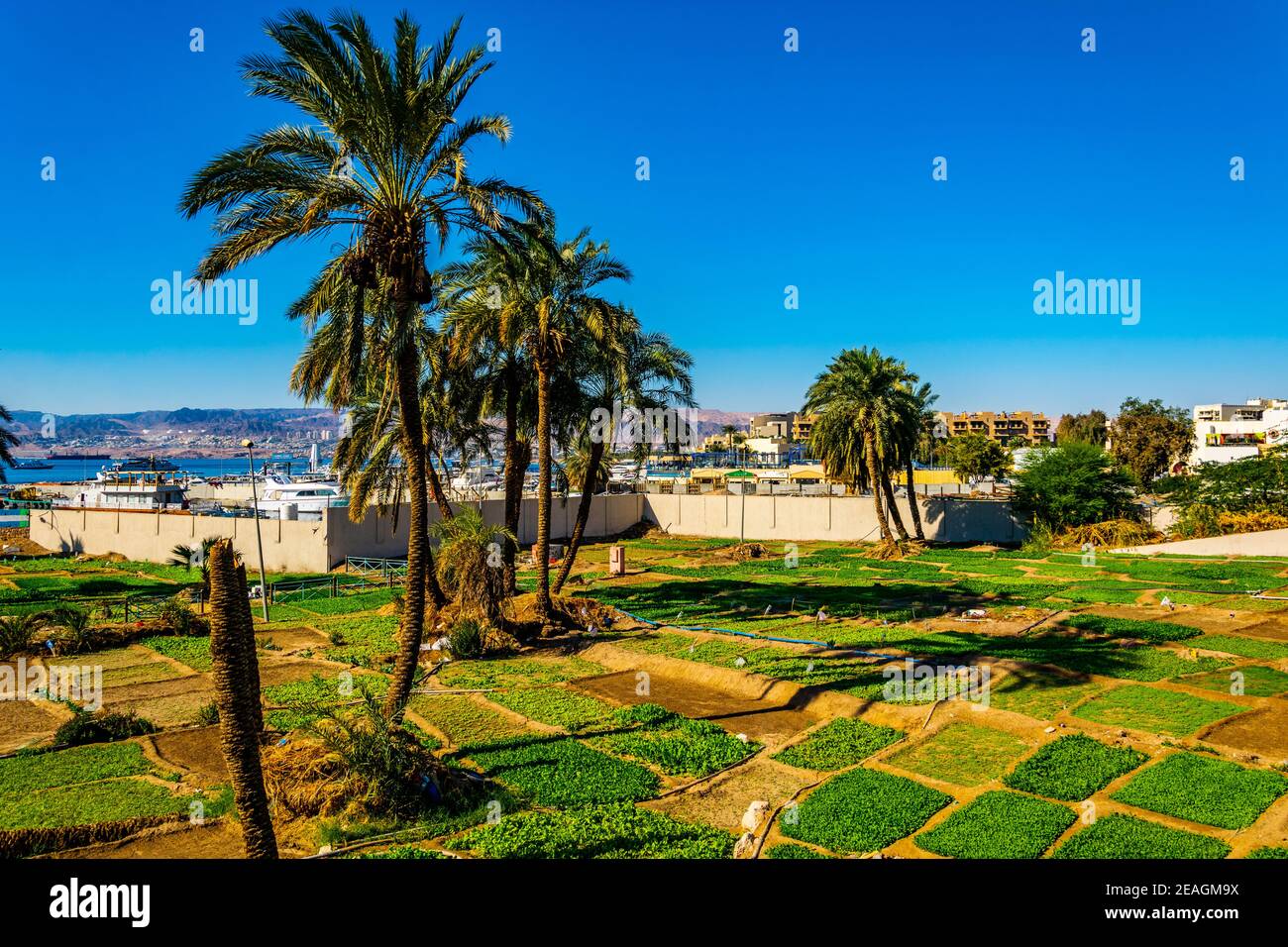 Agriculture jordan field green hi-res stock photography and images - Alamy