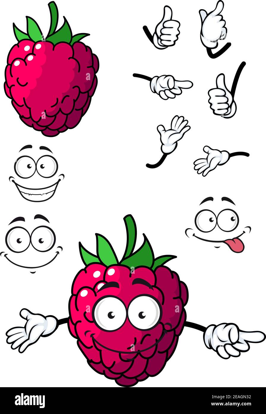 Goofy little cartoon raspberry fruit with a happy smile and green stalk ...