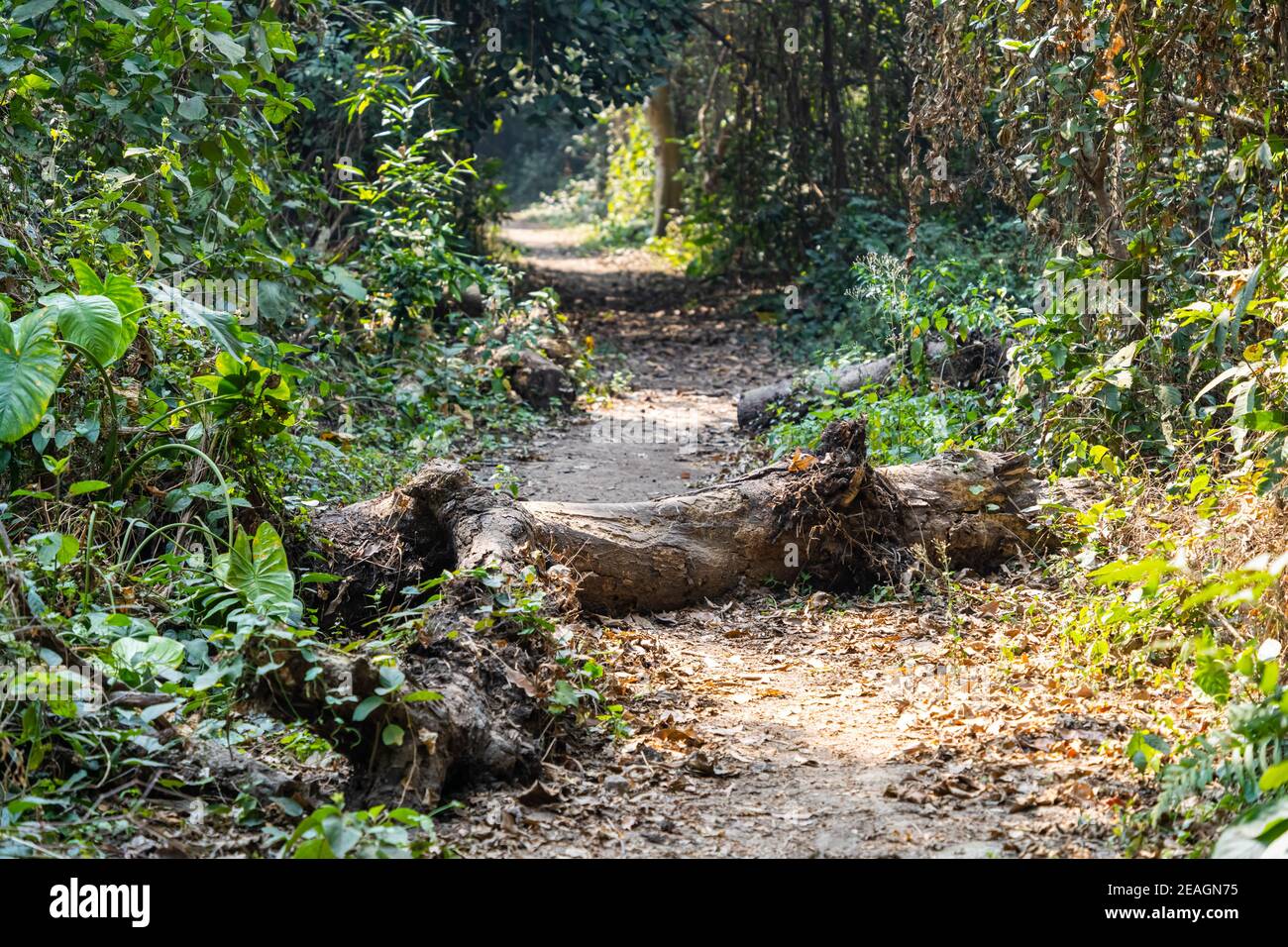Blocking pathway hi-res stock photography and images - Alamy