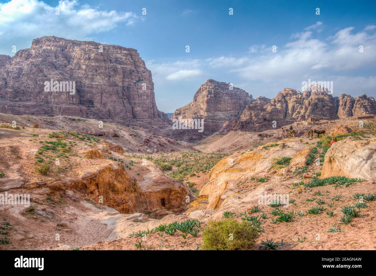 Petra valley in Jordan Stock Photo - Alamy