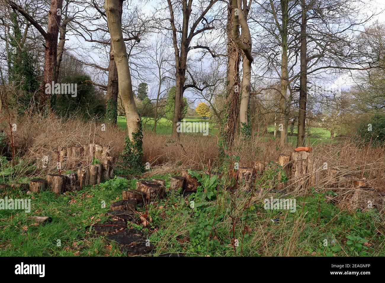 A muddy wet landscape Stock Photo - Alamy