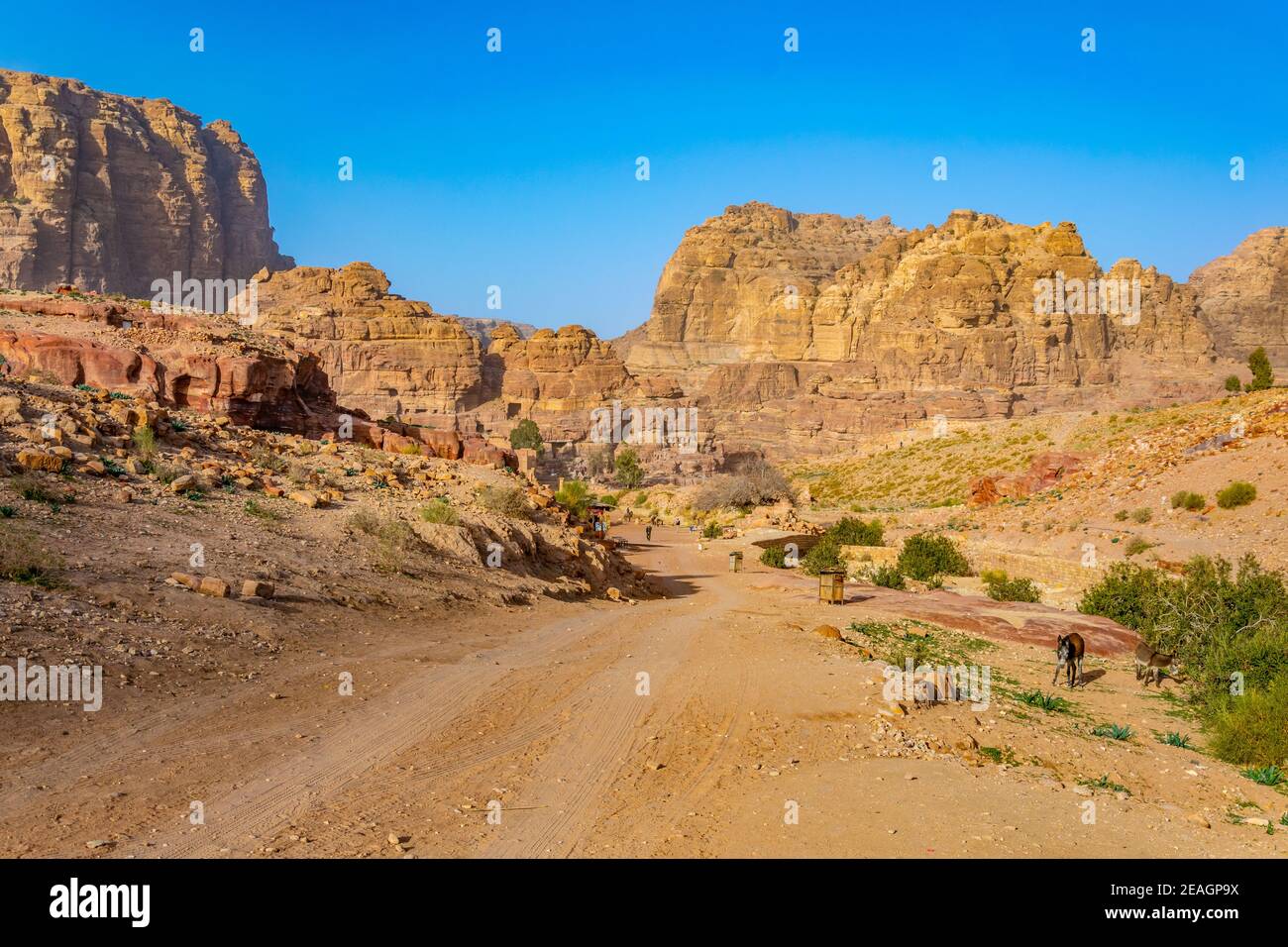 Petra valley in Jordan Stock Photo - Alamy