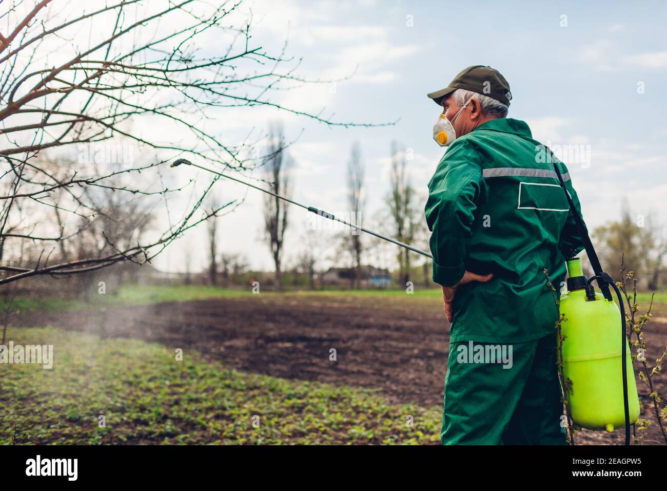 Senior farmer spraying tree with manual pesticide sprayer against ...