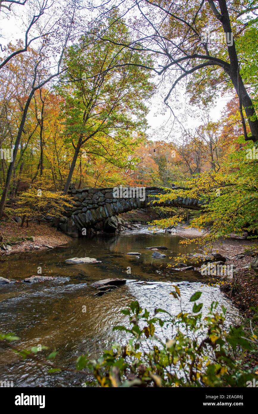 Fall foliage frames Boulder Bridge in Rock Creek Park, Washington, DC ...
