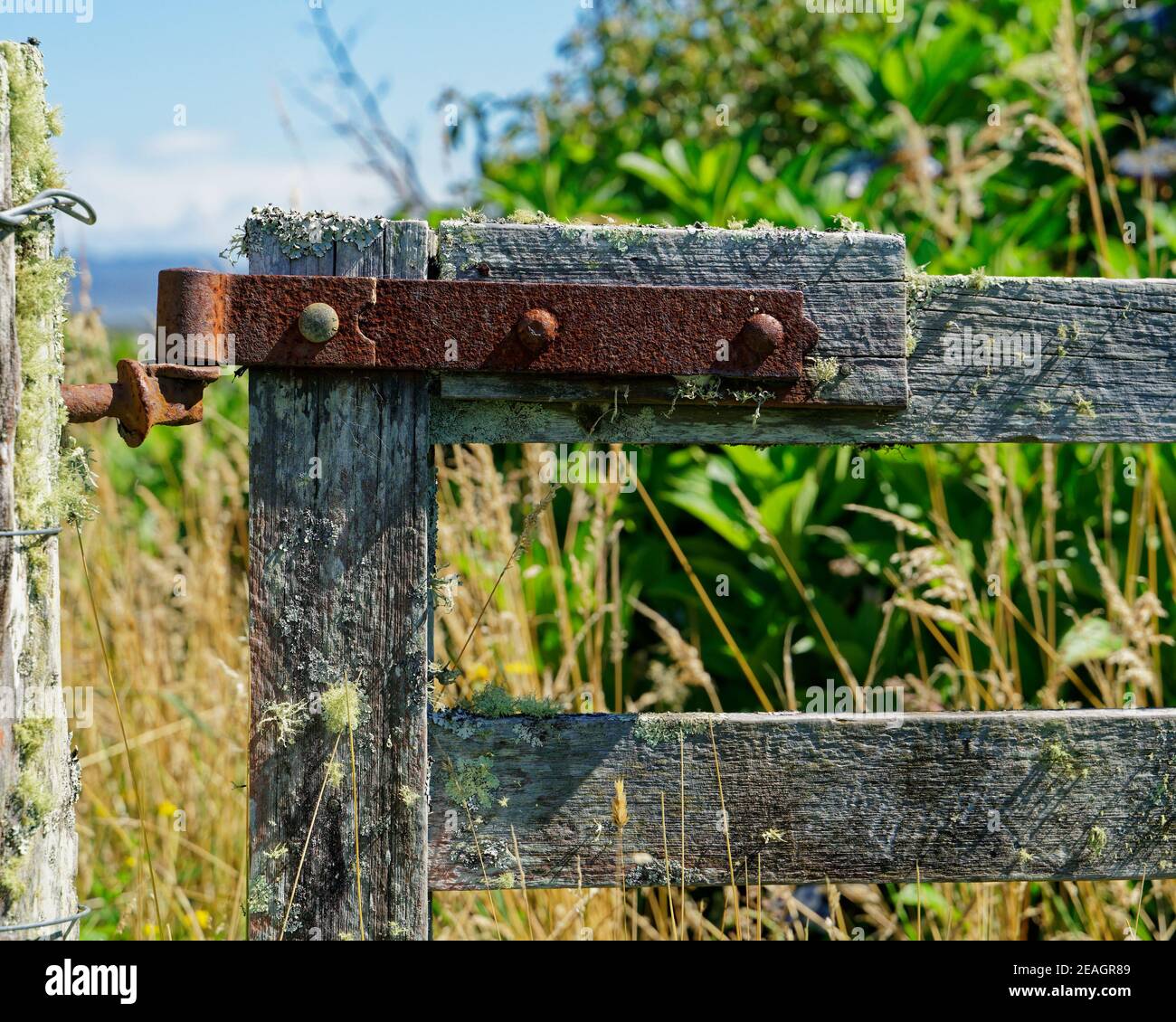dilapidated post and rail gate covered in moss and lichens with a rusty ...