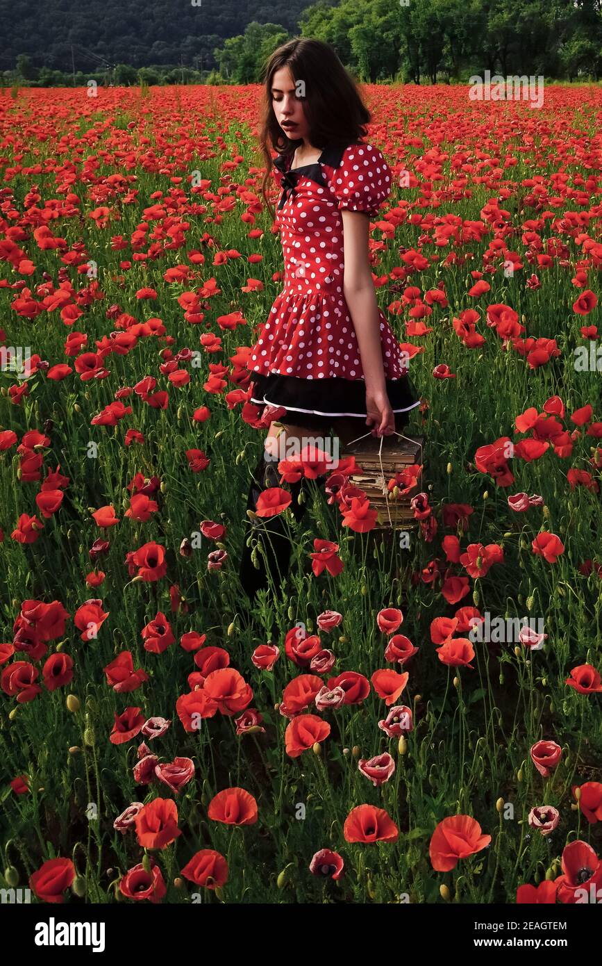 Woman with books, education, business, grammar. Poppy, Remembrance day ...