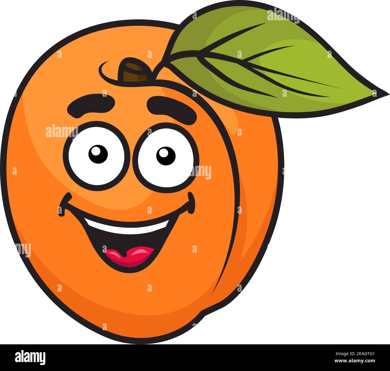 Cartoon sweet yellow apricot fruit Stock Vector Images - Alamy