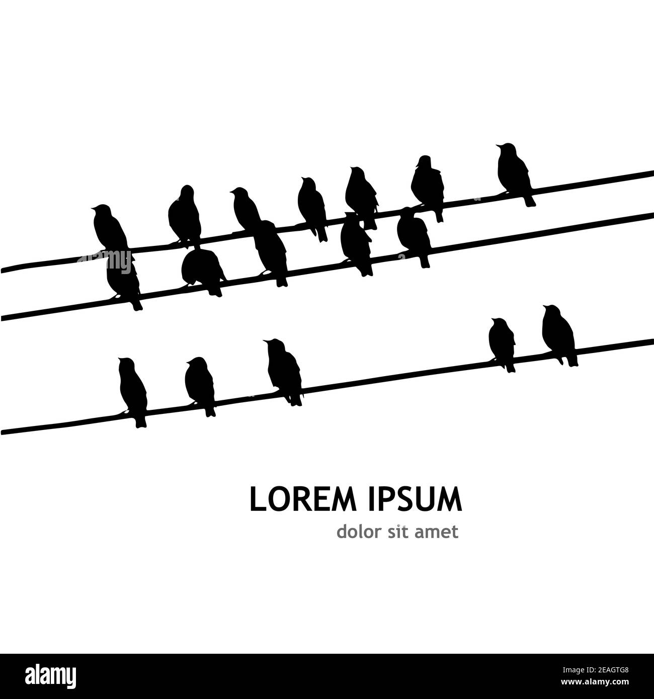 Birds On A Wire Vector